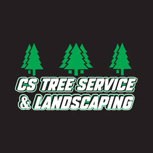 Tree Removal in Corning, NY | CS Tree Service and Landscaping